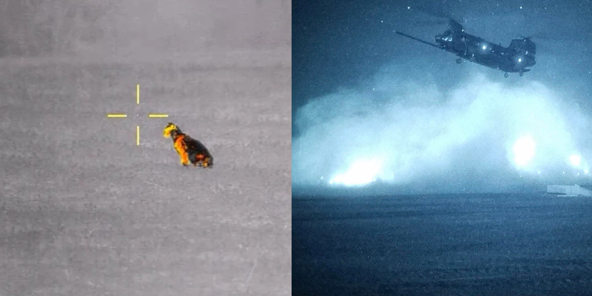 Night Vision vs. Thermal Imaging | Key Differences Explained — Atomic ...