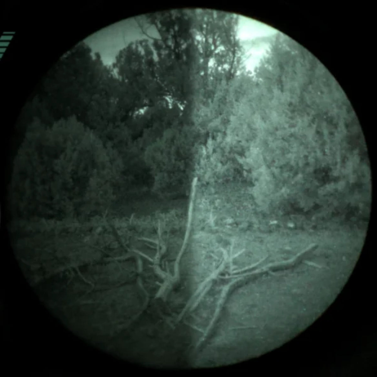 SuperGain NVGs — Atomic Defense