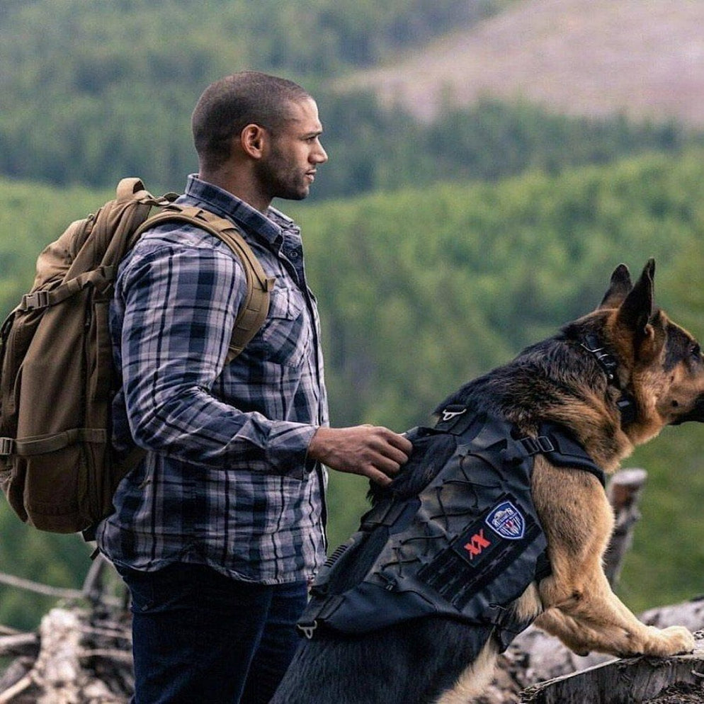 Bulletproof Vests for Dogs | Breathable Bulletproof K-9 Harness ...